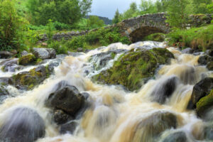 Landscape Photography: Mastering Foreground Interest for Stunning Shots ...